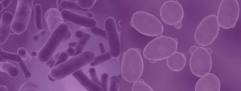 Strain Development - Cytovance Biologics