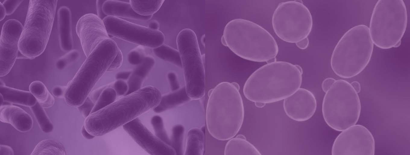 Strain Development - Cytovance Biologics