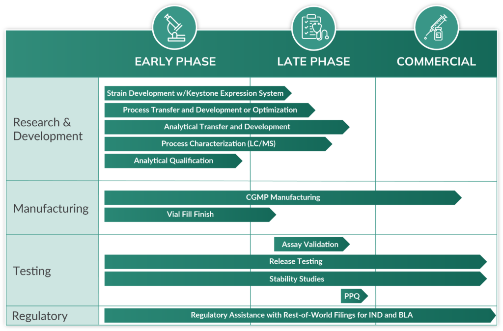 Microbial Biologics CDMO Services - Cytovance