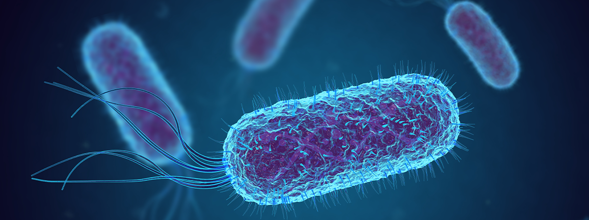 Microbial Strain Development Strategy to Enhance Product Development ...