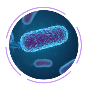 Microbial Strain Development Services | CDMO